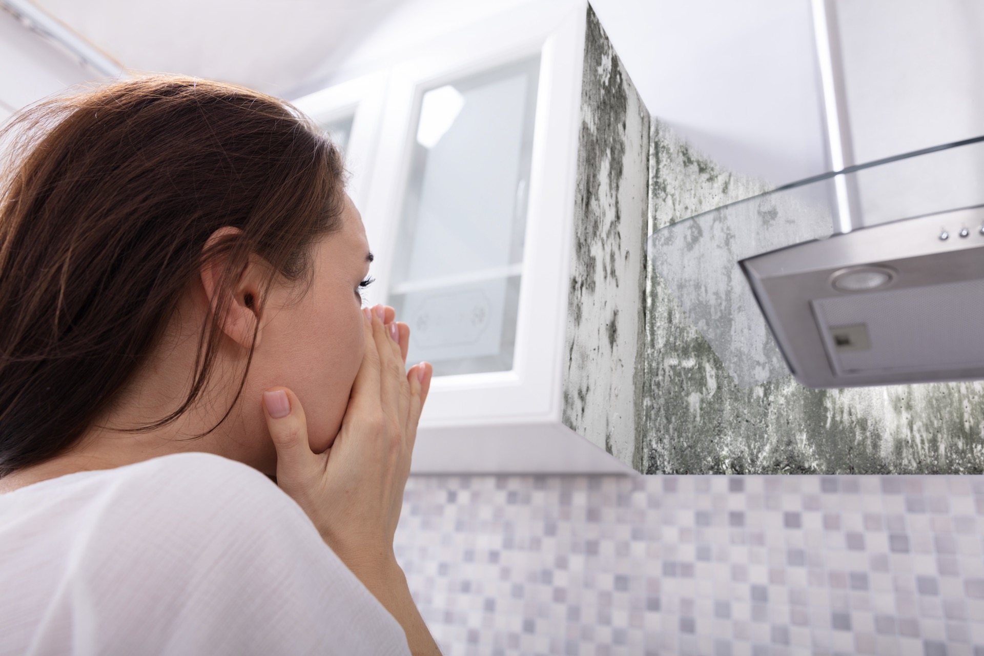 Prevent Mold And Mildew | Ideal Indoor Humidity Level